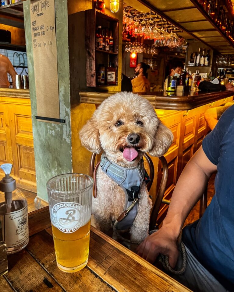 30+ Best Dog-Friendly Restaurants & Cafes in Hong Kong | Indulgent Eats ...